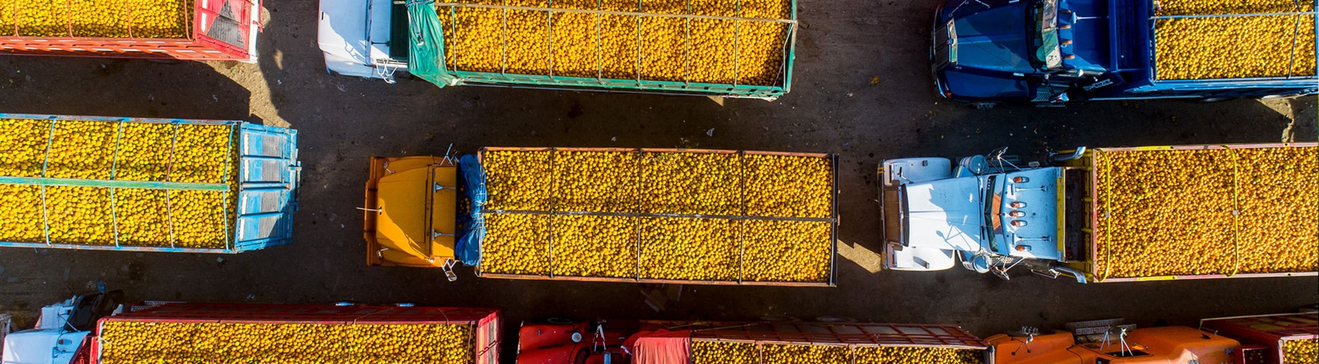 Jugos naturales y productos de fruta fresca | Citrofrut