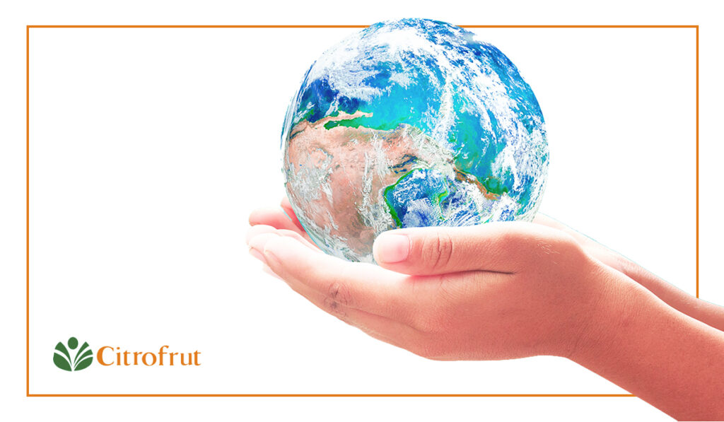 News Archives - Blog sobre agroindustria en México | Citrofrut