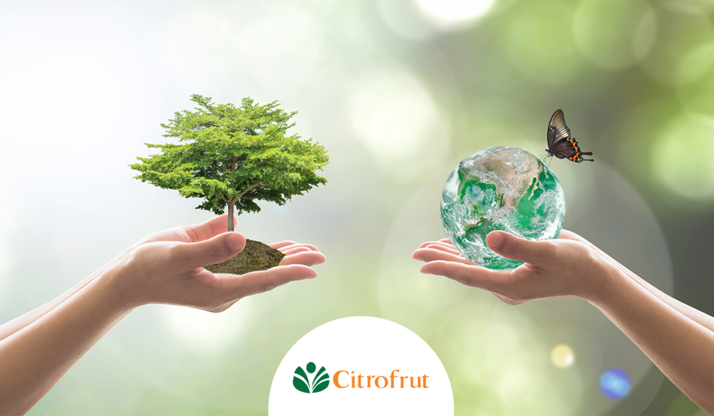 Citrofrut, an example of sustainable production - Blog sobre ...