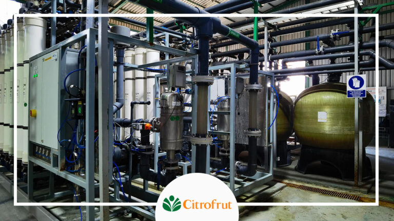 News Archives - Blog sobre agroindustria en México | Citrofrut
